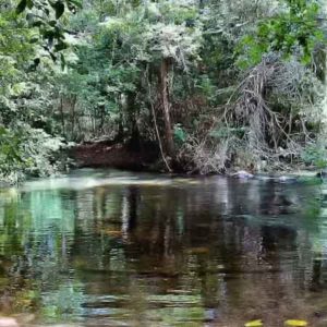Parque Nacional Cerro El Copey Isla de Margarita ★★★ Guía
